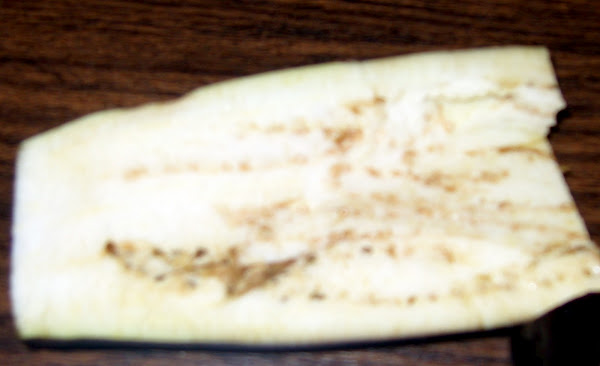 Eggplant Flowers | Project Noah