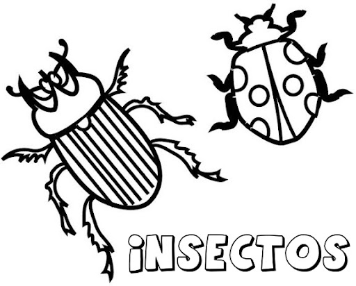 DIBUJOS DE INSECTOS PARA COLOREAR – Dibujos para colorear