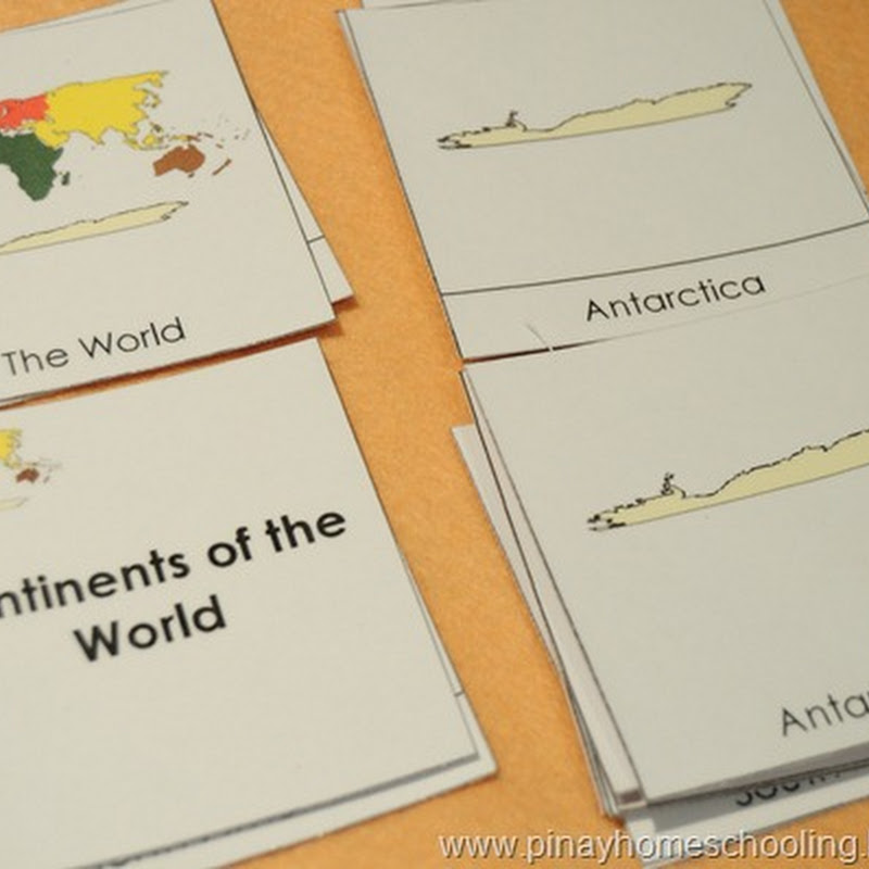 Continent Study: Antarctica Unit | The Pinay Homeschooler