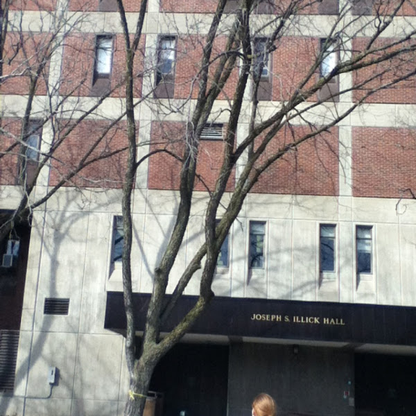 Hackberry | Project Noah