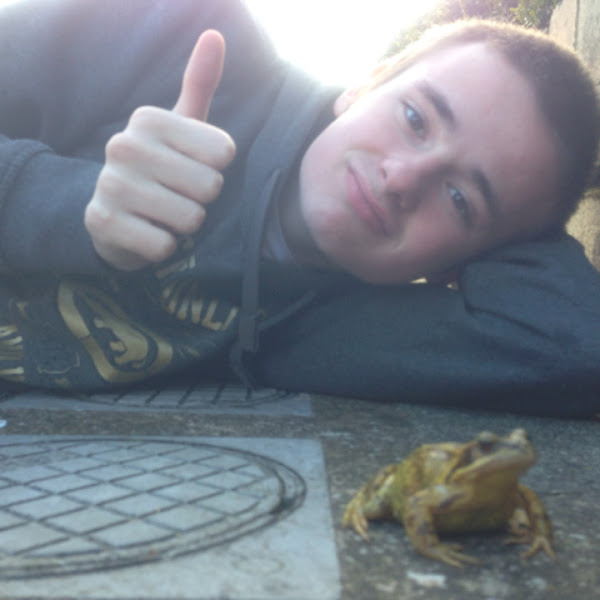 Common frog | Project Noah