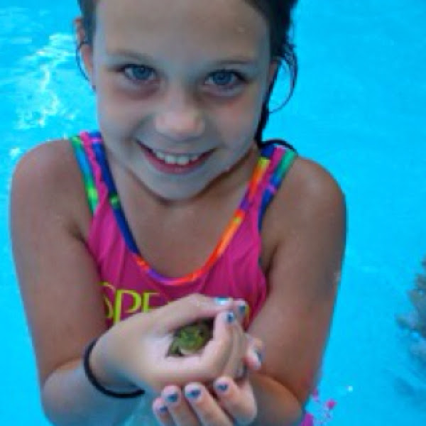 Frogs | Project Noah