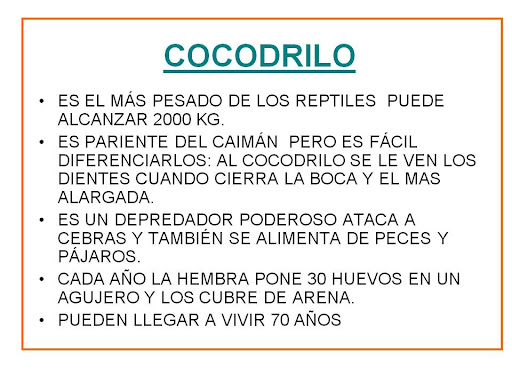 Información del cocodrilo para niños - Imagui