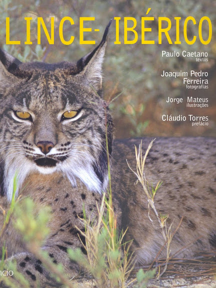 Novidade na biblioteca – Lince Ibérico | Ler para crer