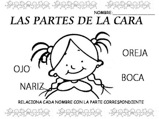 LA CARA PARTES DE LA CARA COLOREA DIBUJA Y APRENDE
