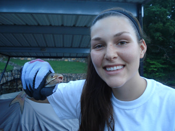 Channel Catfish | Project Noah