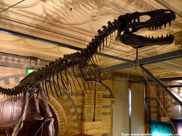 Visita al museo de historia natural de Londres - En el mundo perdido