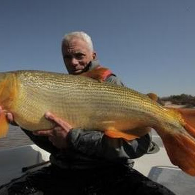 → Monstruos de rio, 6º Temporada: Estreno 26.06.14 Discovery Channel ...