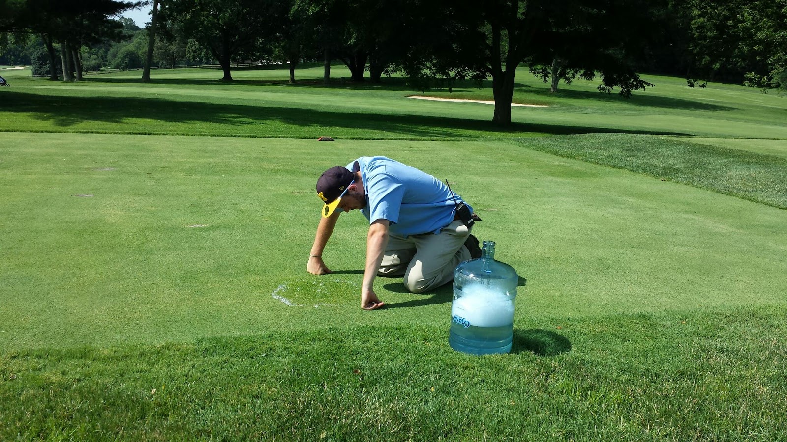 Kennett Square Golf and Country Club: Scouting for insects.