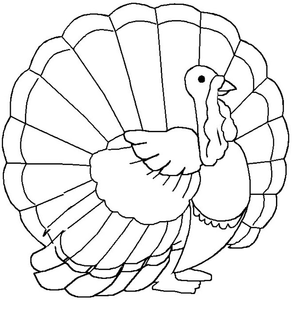 PAVOS REALES PARA COLOREAR