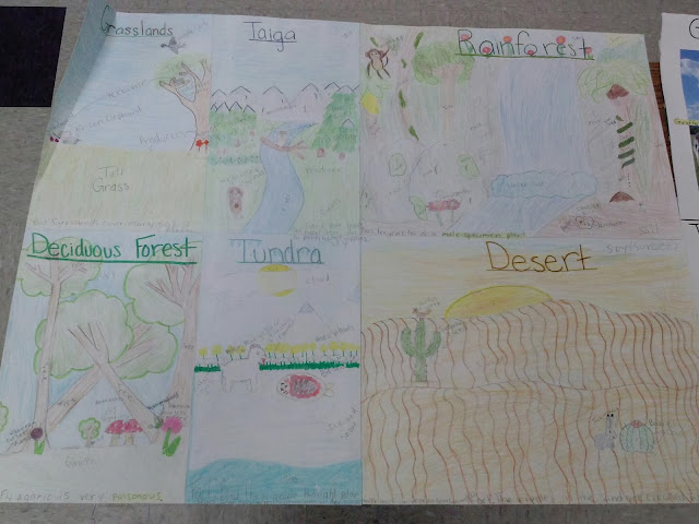 Mrs. Slavinski : Biome Poster Examples