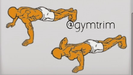 GYMTRIM: WORKOUTS TO GAIN CHEST IN HOME GYM