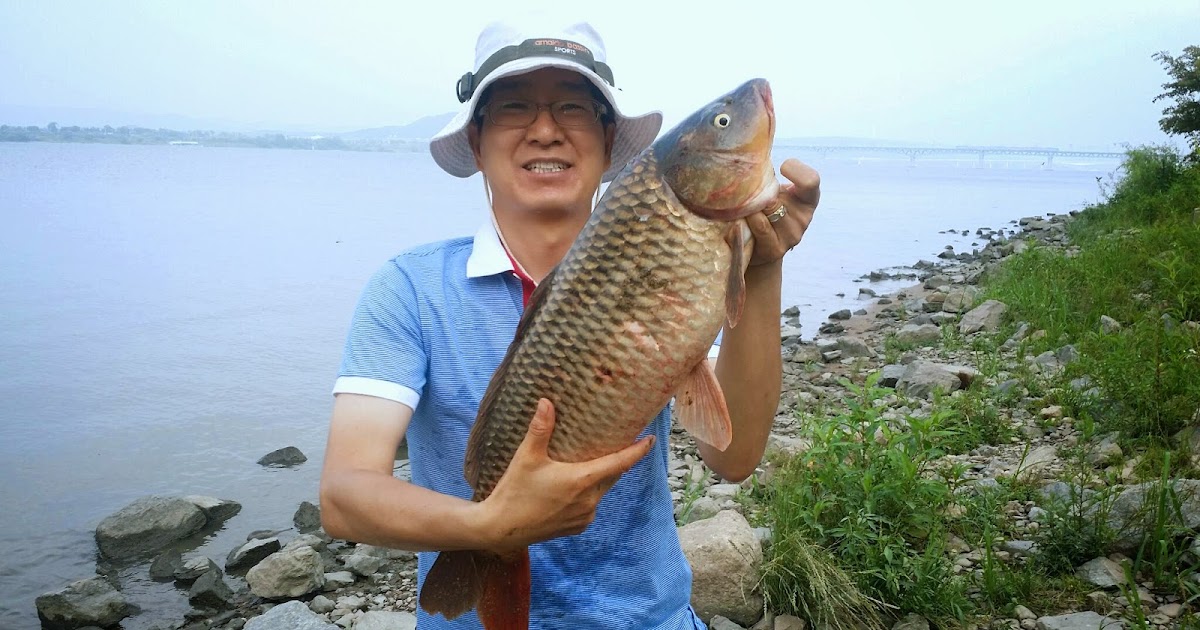 Insights Korea Tour: Han river carp fishing.