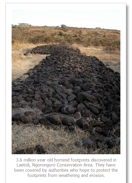 Ancient Digger Archaeology: The Laetoli Footprints Explained