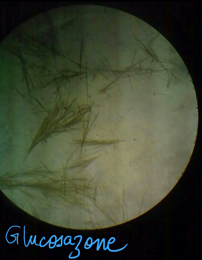 Studying MBBS ( Bachelor of Medicine and Bachelor of Surgery ) in ...