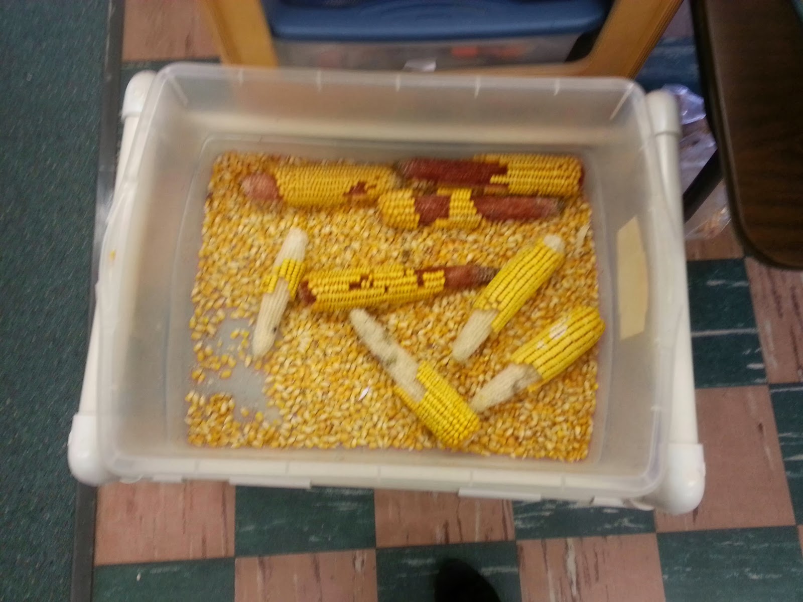 Live, Love, Preschool: Corn Sensory Play