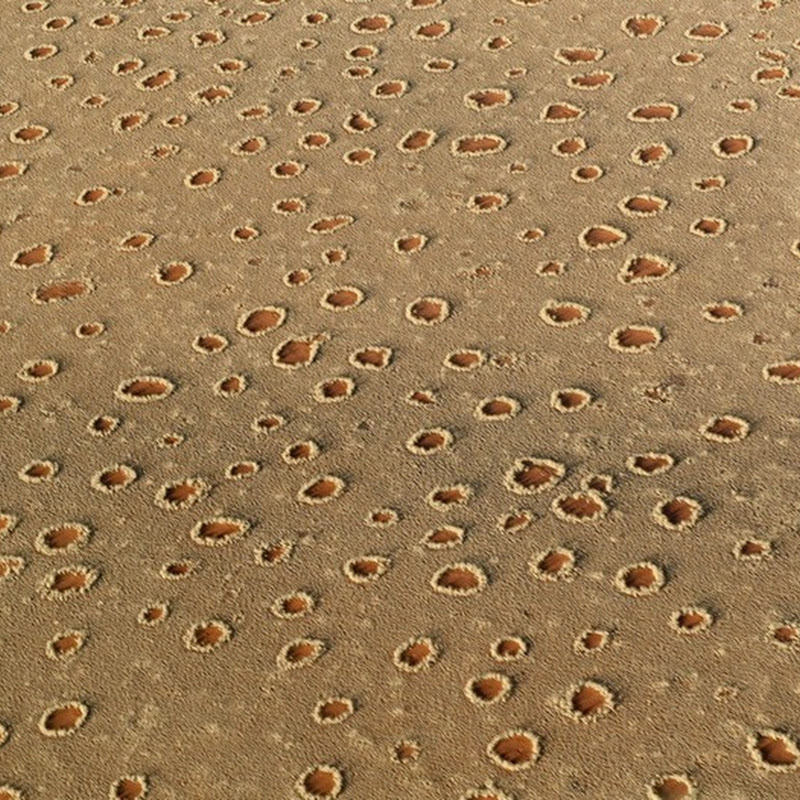 Mysterious Fairy Circles of Namibia | Amusing Planet