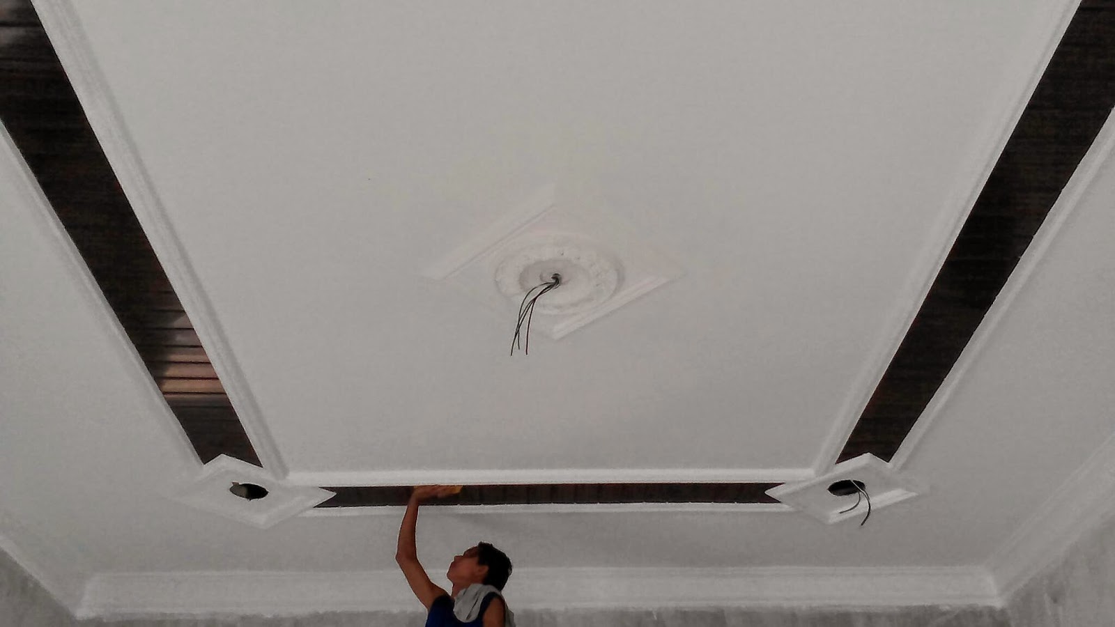 Siling fiber+siling kapor+ctwood