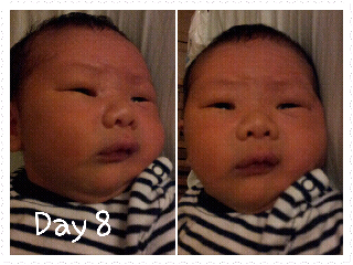My precious baby - Jadon Tan: Day by day, little by little
