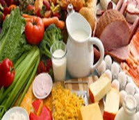 Nutrisi adalah | Pengertian dan Definisi Zat Gizi | Kamus Q