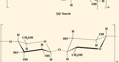 Example of Polymers Natural Polymers and Synthetic Polymers ...