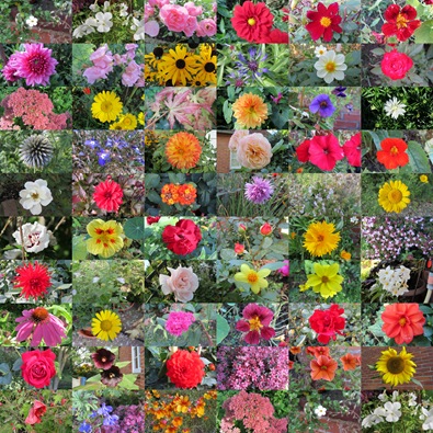 Jana's Kreatives Tagebuch: Septemberblüten und herbstliche Leckereien