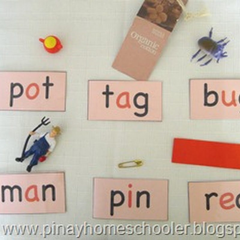 Pink Reading Scheme: Object Boxes | The Pinay Homeschooler