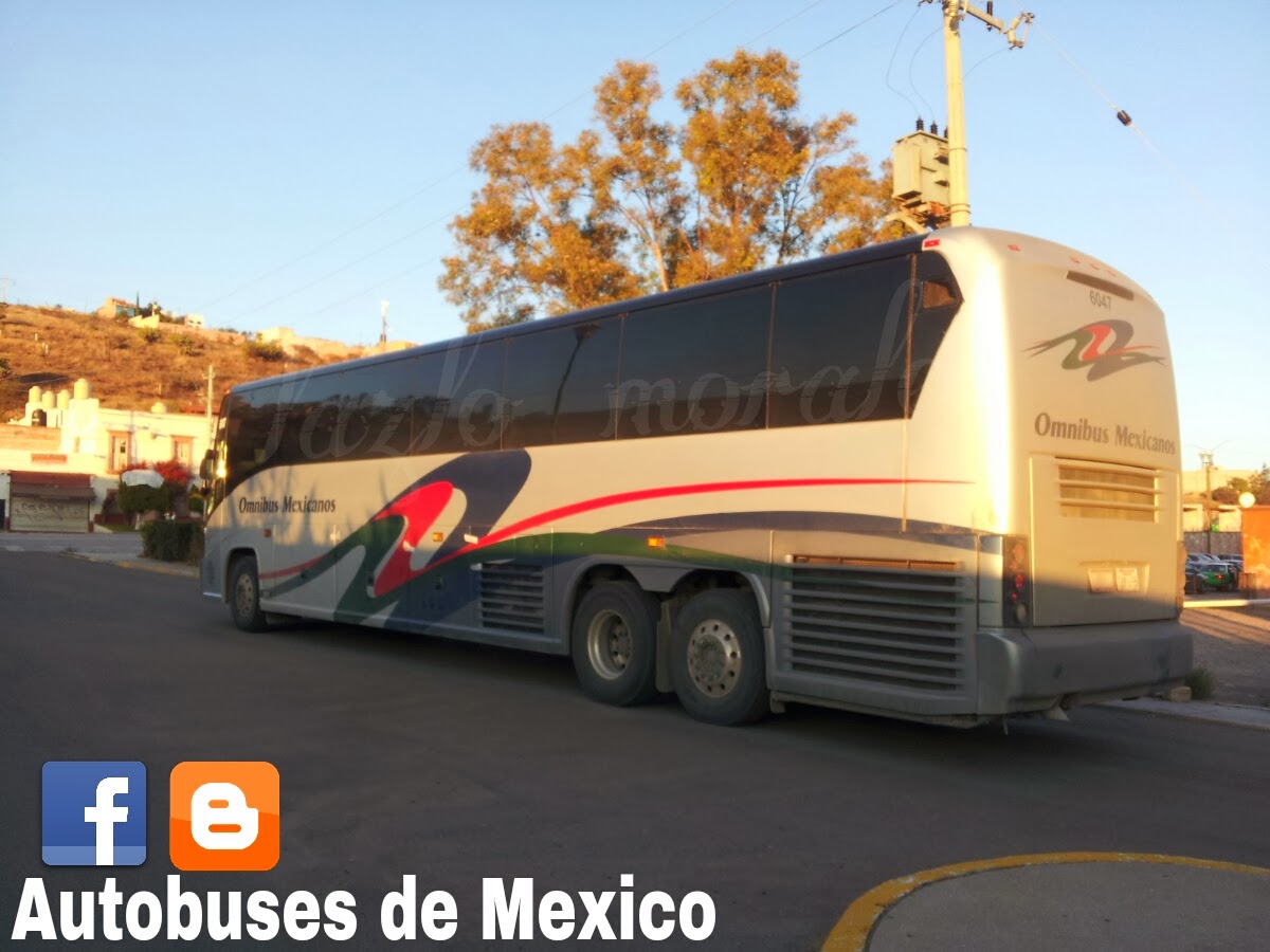 Autobuses de Mexico Oficial: OMNIBUS MEXICANOS