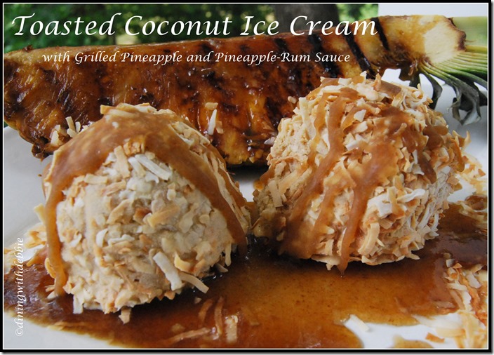 Toasted Coconut Ice Cream - Dining With Debbie