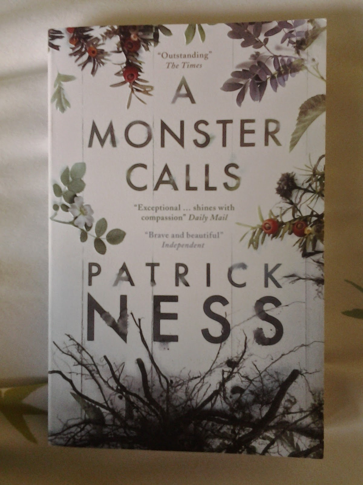 BathyBooks: Book Review: A Monster Calls