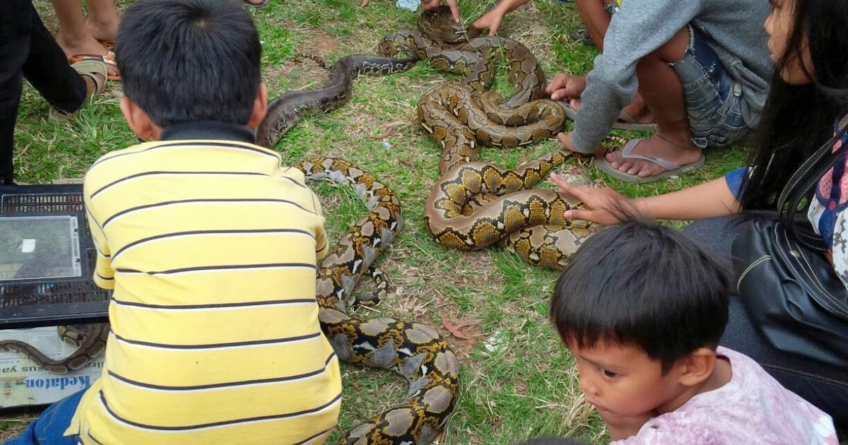 Children playing snakes | Ahmad Nalpa