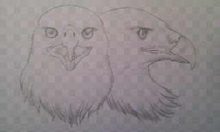 Imaeko's Artage Blog - The Art and Designs of Megan Cowley