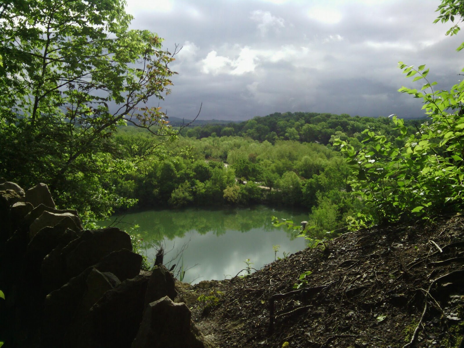 Life on the Trail : Ijams Nature Center