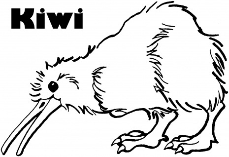 KIWIS DIBUJOS PARA COLOREAR