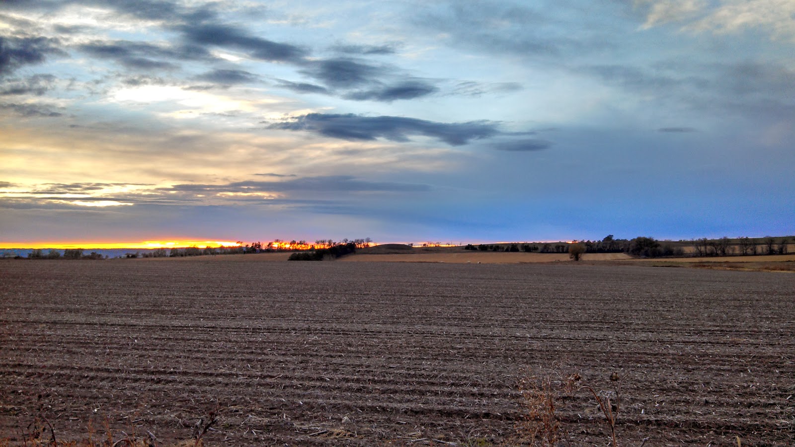 Walk It Off, Tom.: Nebraska Sunset and Buffalo