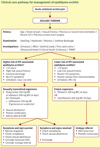 medical K.I.S.S: Management of epididymo-orchitis