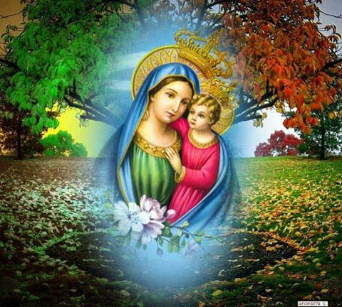 velankanni matha kollam: Mary matha photos