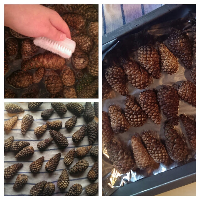 nostalgiecat: Plaster dipped pinecones...