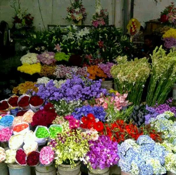 TOKO BUNGA JAKARTA: Toko bunga | jual bunga mawar dan bunga papan