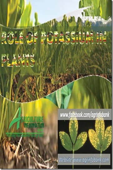 Role of Potassium in Crop Yield | Agriculture Information Bank