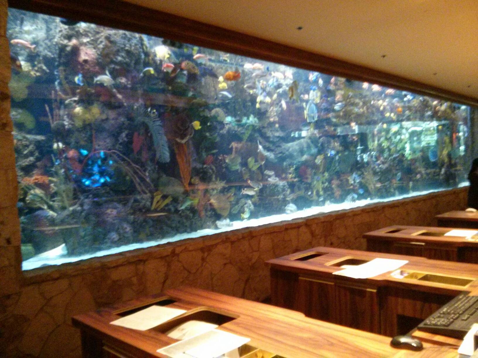 Vegas Holiday 2013: Mirage reception aquariums