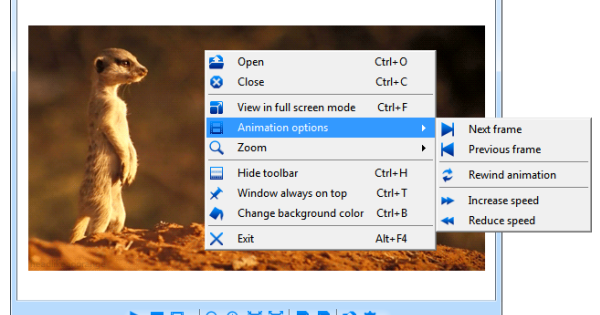 7GIF: Animated GIF Player for Windows with Playback Controls
