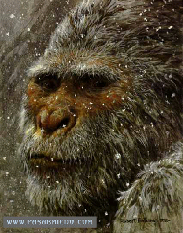 El Yeti, una realidad científica