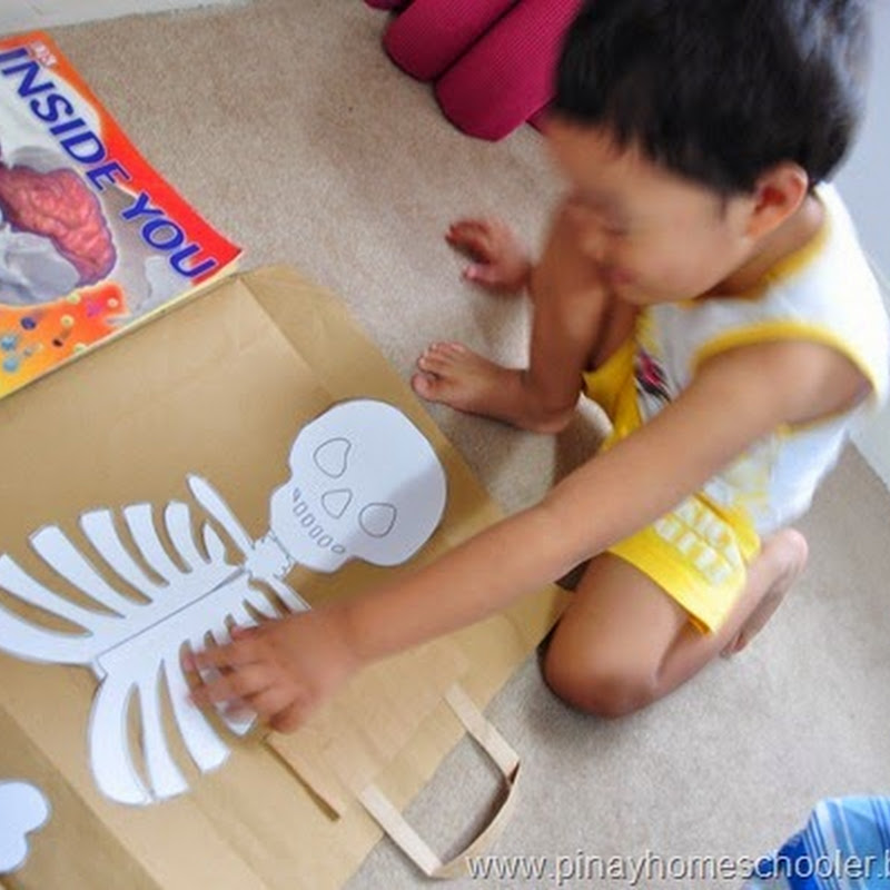 The Human Skeleton Book References | The Pinay Homeschooler
