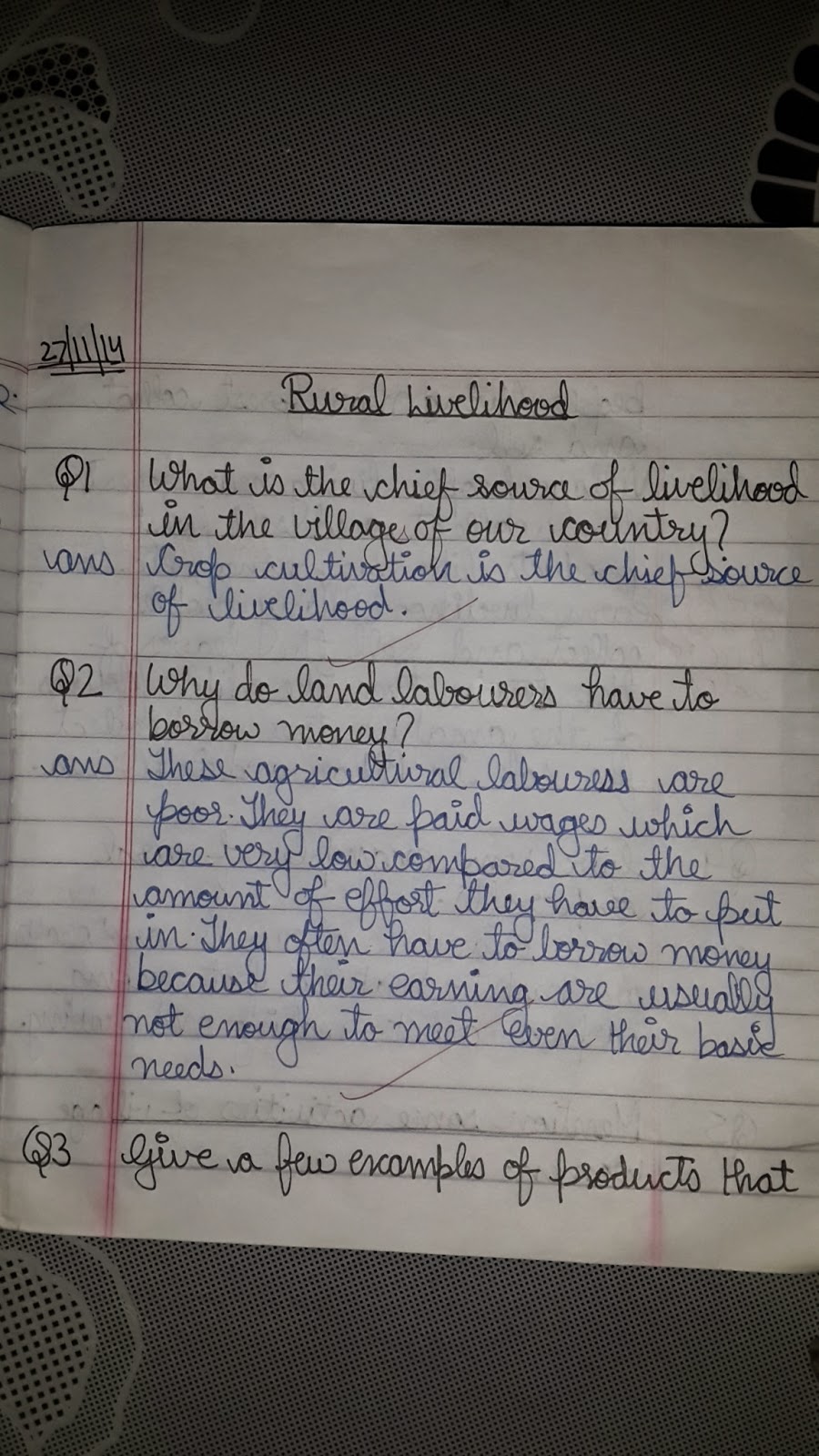 Neetu Shankar: Class 6-Rural Livelihood