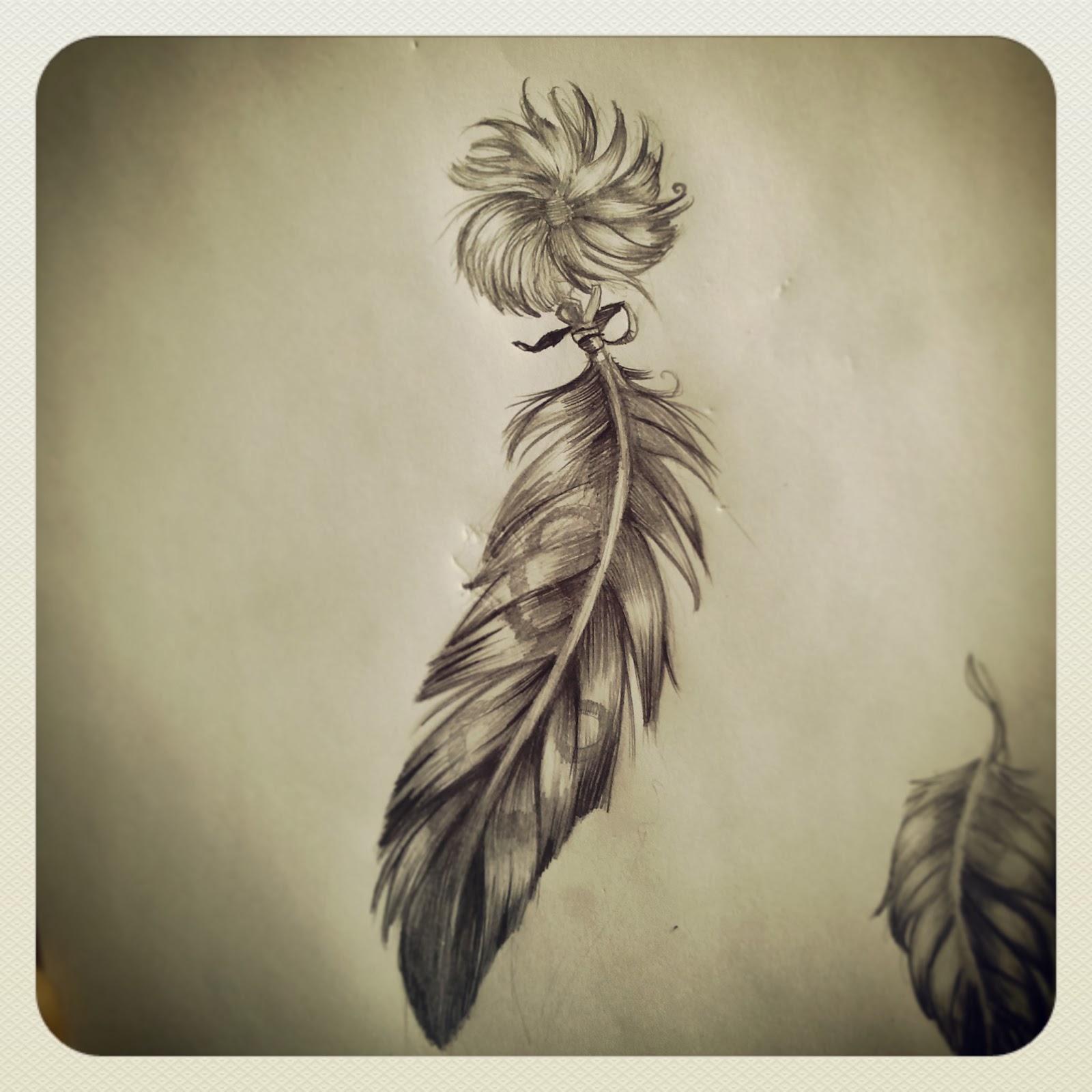 Tattoo de pluma - Imagui