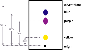 What is Paper Chromatography? Principle and Procedure