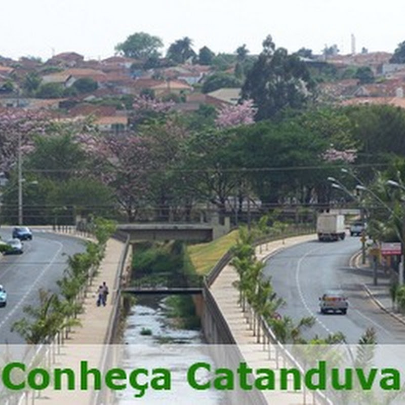 - Web Catanduva