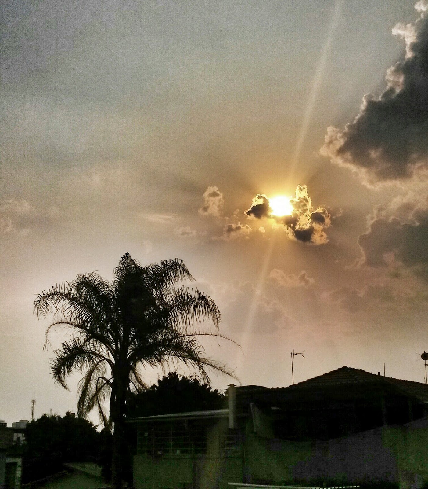 A vida traduzida em imagens: Sol da tarde