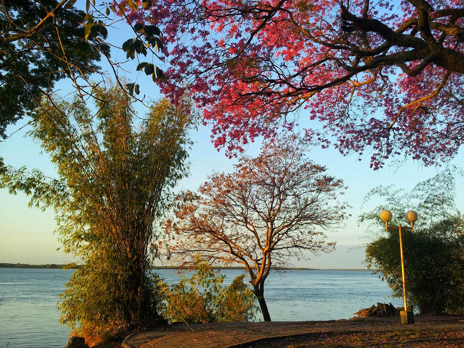 Paisajes de Corrientes: Punta Tacuára